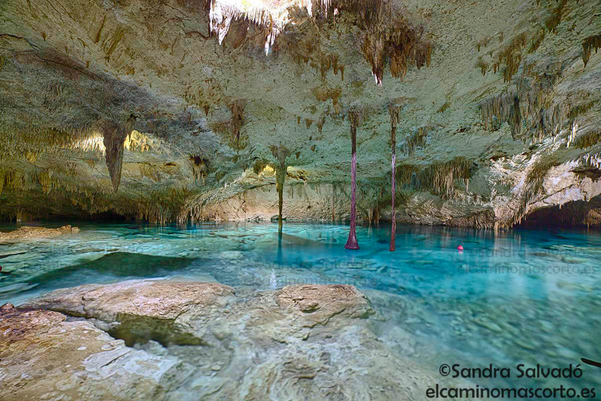 must see cenotes in the Riviera Maya | allinclusivegal
